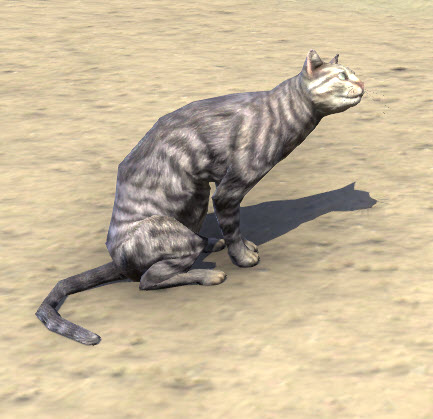 ESO Fashion | Senchal Striped Cat (Elder Scrolls Online)