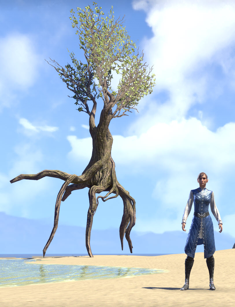 ESO Fashion | Tree, Banyan (Elder Scrolls Online)