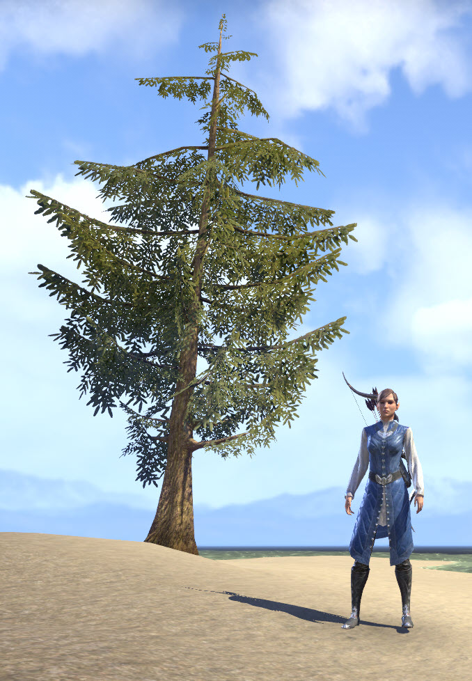 ESO Fashion | Tree, Foothills Pine (Elder Scrolls Online)