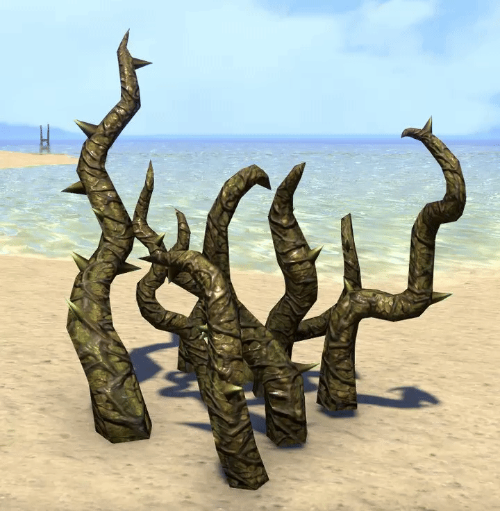 ESO Fashion | Vine, Bloodroot Grasper (Elder Scrolls Online)