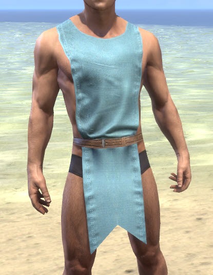 ESO Fashion | Guild Tabard (Elder Scrolls Online)