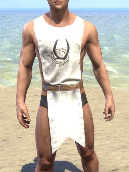 ESO Fashion | Guild Tabard (Elder Scrolls Online)