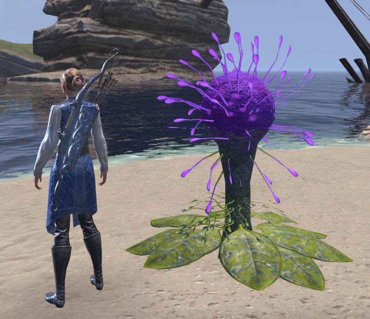 ESO Fashion | Plant, Hist Bulb (Elder Scrolls Online)