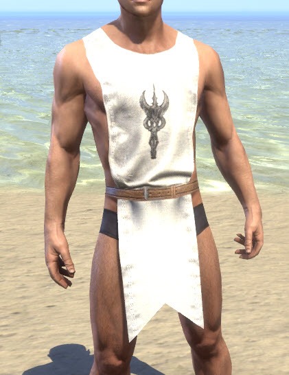 ESO Fashion | Guild Tabard (Elder Scrolls Online)