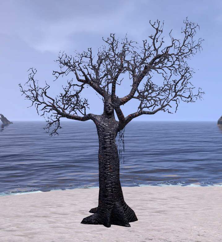 ESO Fashion | Witch's Tree, Charred (Elder Scrolls Online)