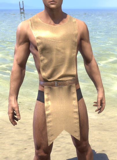 ESO Fashion | Guild Tabard (Elder Scrolls Online)