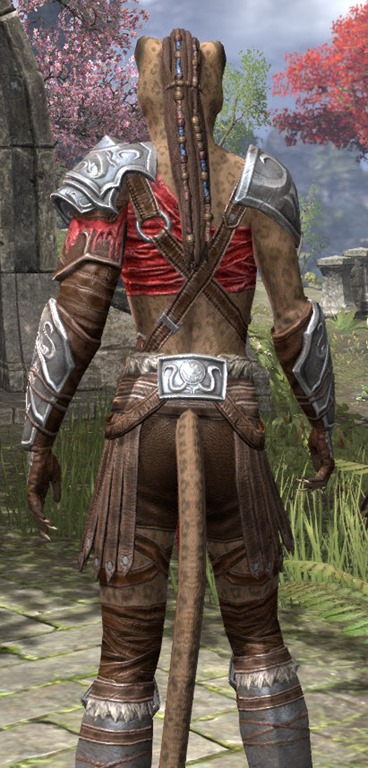 Eso Fashion Arena Gladiator Elder Scrolls Online