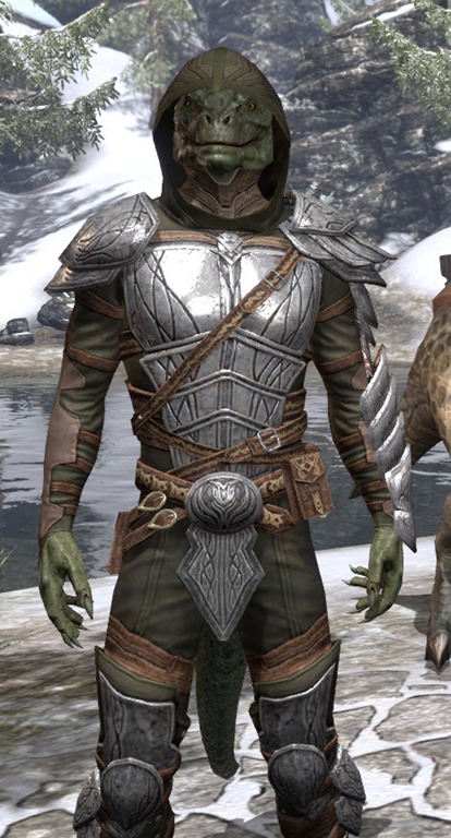 ESO Fashion | Elven Hero Armor (Elder Scrolls Online) ESO Fashion | Elven Hero Armor (Elder Scrolls Online)