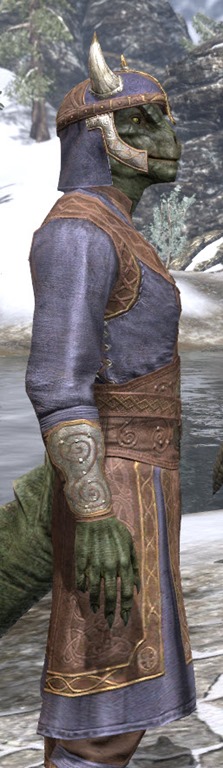 ESO Fashion | Falkreath Thane (Elder Scrolls Online)