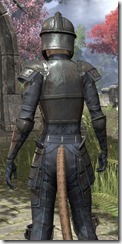 ESO Fashion | Lion Guard Knight (Elder Scrolls Online)