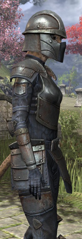 ESO Fashion | Lion Guard Knight (Elder Scrolls Online)