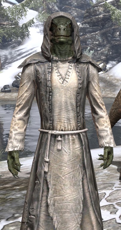 ESO Fashion | Moth Priest (Elder Scrolls Online)