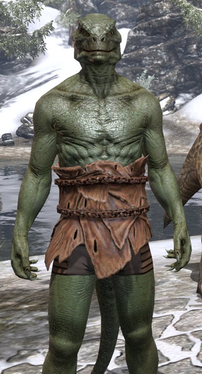 ESO Fashion | Nordic Bather's Towel (Elder Scrolls Online)