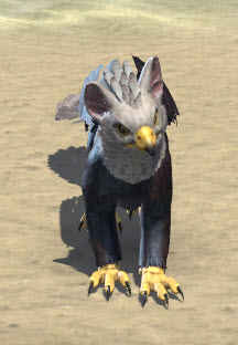 ESO Fashion | Pale-Plume Fledgling Gryphon (Elder Scrolls Online)