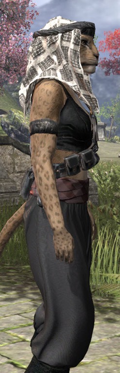 ESO Fashion | Pirate First Mate's Outfit (Elder Scrolls Online)