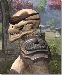 ESO Fashion | Pirate Skeleton (Elder Scrolls Online)