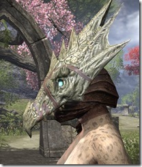 ESO Fashion | Shadowrend (Elder Scrolls Online)