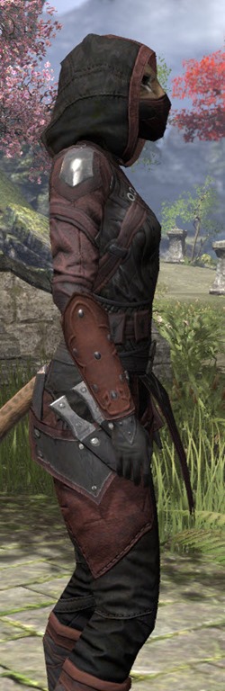 ESO Fashion | Shrouded Armor (Elder Scrolls Online)