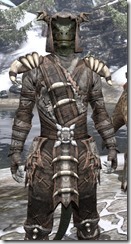 ESO Fashion | Winterborn Hunter's Costume (Elder Scrolls Online)