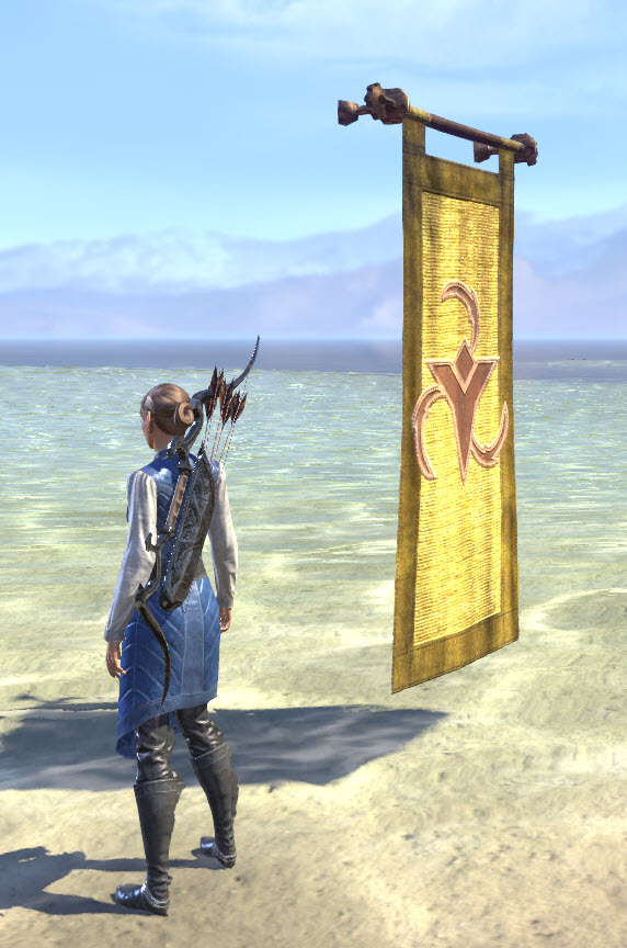 ESO Fashion | Banner, Outfit (Elder Scrolls Online)