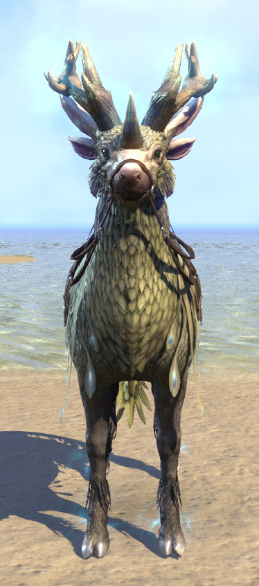 ESO Fashion | Dawnwood Indrik (Elder Scrolls Online)