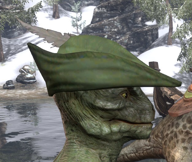 ESO Fashion | Feathered Bycoket Cap (Elder Scrolls Online)