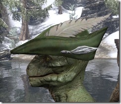 ESO Fashion | Feathered Bycoket Cap (Elder Scrolls Online)