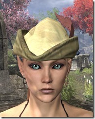 ESO Fashion | Feathered Bycoket Cap (Elder Scrolls Online)