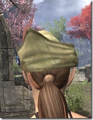 ESO Fashion | Feathered Bycoket Cap (Elder Scrolls Online)