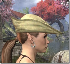 ESO Fashion | Feathered Bycoket Cap (Elder Scrolls Online)