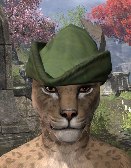 ESO Fashion | Feathered Bycoket Cap (Elder Scrolls Online)