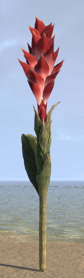 ESO Fashion | Garlas Alpinia, Tall (Elder Scrolls Online)