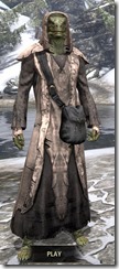 ESO Fashion | Prophet (Elder Scrolls Online)