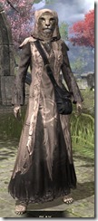 ESO Fashion | Prophet (Elder Scrolls Online)