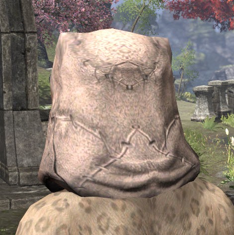 ESO Fashion | Prophet (Elder Scrolls Online)