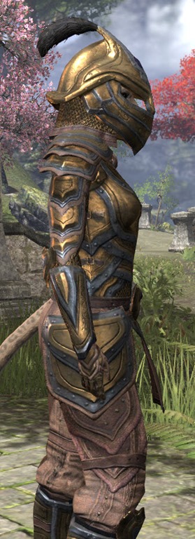 ESO Fashion | Redguard Dwarven (Elder Scrolls Online)