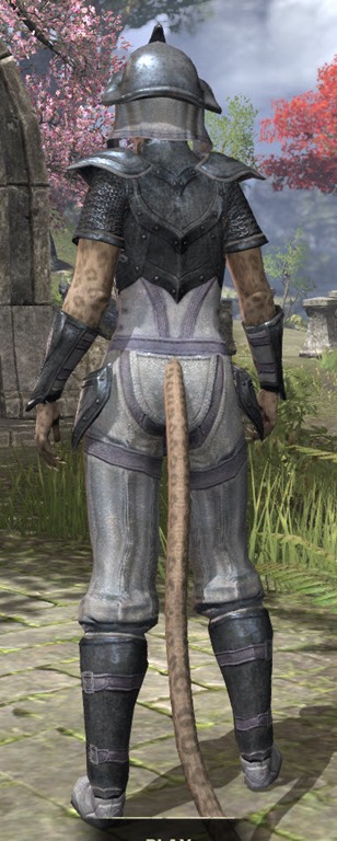 ESO Fashion | Redguard Iron (Elder Scrolls Online)