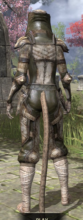 ESO Fashion | Wood Elf Leather (Elder Scrolls Online)