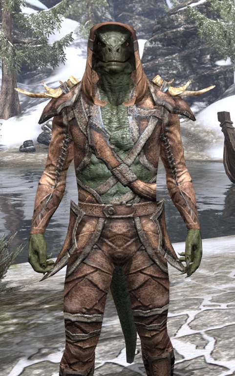 Eso Fashion Wood Elf Linen Elder Scrolls Online