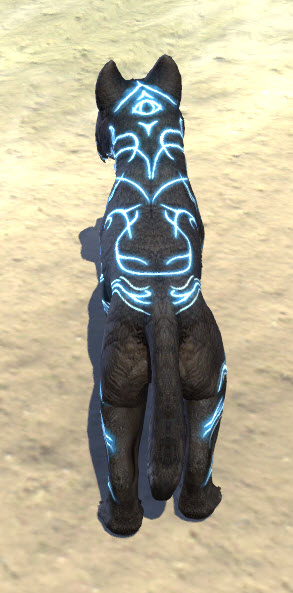 ESO Fashion | Psijic Mascot Wolf Pup (Elder Scrolls Online)