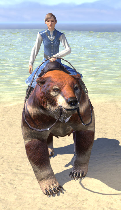ESO Fashion | Sweetroll Grizzly (Elder Scrolls Online)