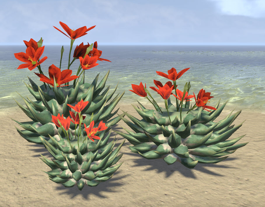 ESO Fashion | Cactus, Flowering Cluster (Elder Scrolls Online)