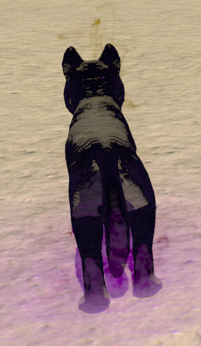 ESO Fashion | Gloam Wolf Cub (Elder Scrolls Online)