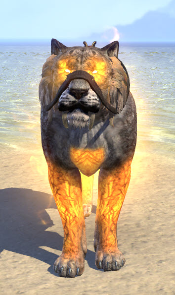 ESO Fashion | Meridian Sabre Cat (Elder Scrolls Online)