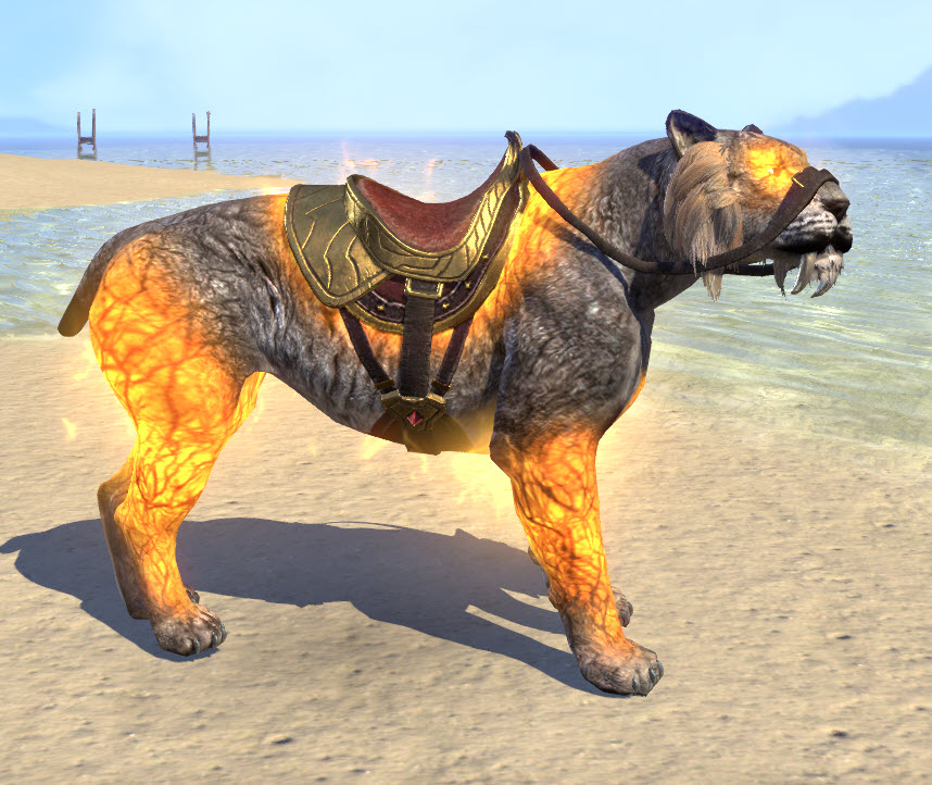 ESO Fashion | Meridian Sabre Cat (Elder Scrolls Online)