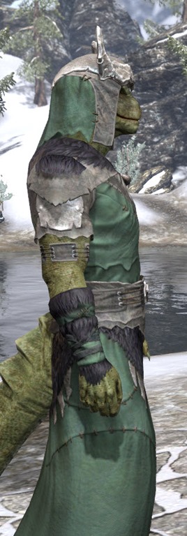 ESO Fashion | Coldsnap Homespun (Elder Scrolls Online)