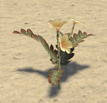 ESO Fashion | Flowers, Daedra Thorn (Elder Scrolls Online)