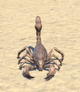 ESO Fashion | Rihad Coffee Scorpion (Elder Scrolls Online)