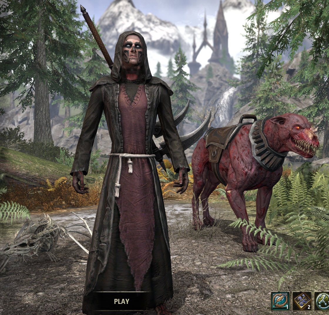 ESO Fashion | The Hardcase [NA] (Elder Scrolls Online)