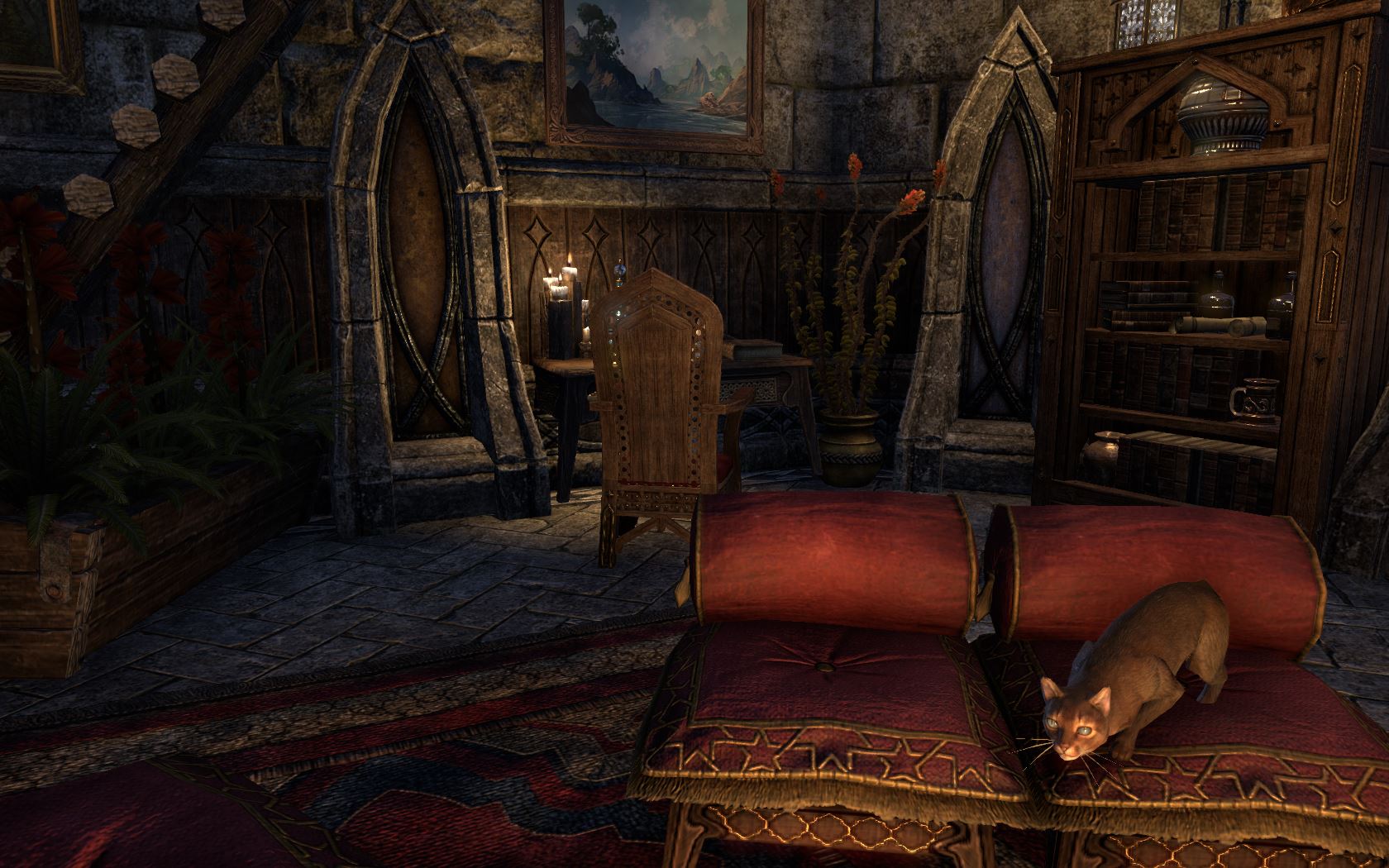 ESO Fashion | Cozy Cat [EU] (Elder Scrolls Online)